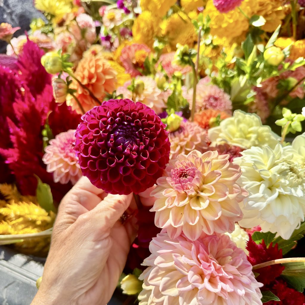 Services Available to our Community – Essex North Shore